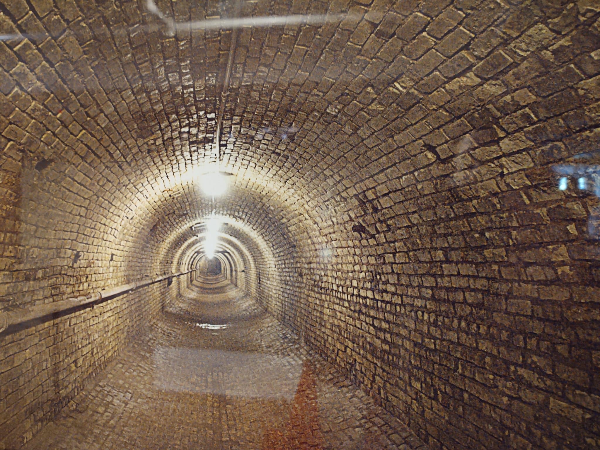 Insane Asylum Part One History – The Restless Viking