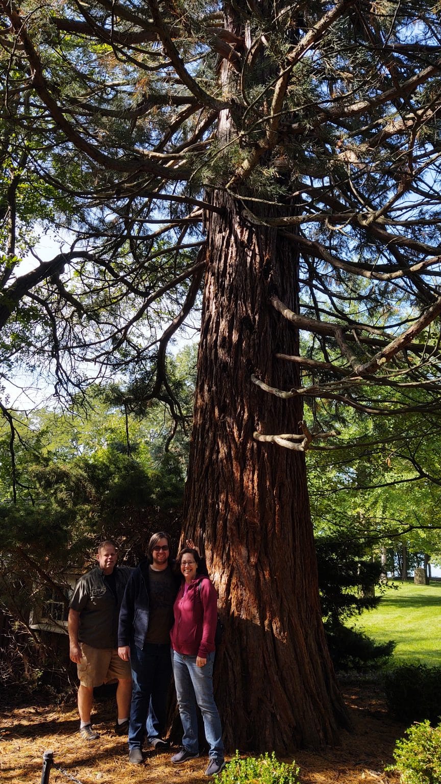 There are Sequoia Trees in Michigan? – The Restless Viking