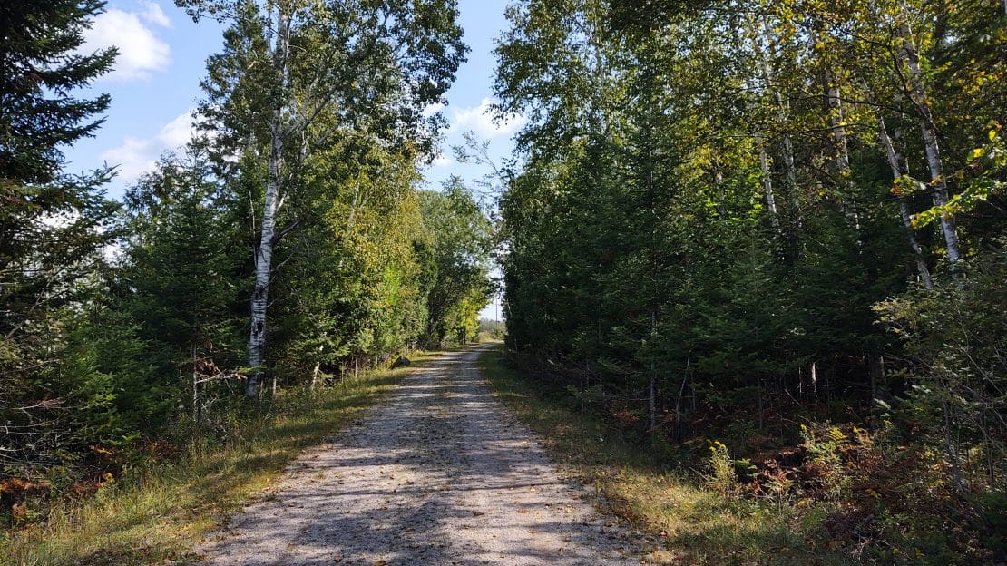 The Restless Viking: The Metz Fire – A Michigan Tragedy - Lowell's ...