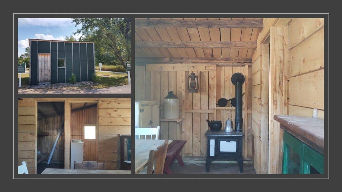 The Restless Viking: The Metz Fire – A Michigan Tragedy - Lowell's ...