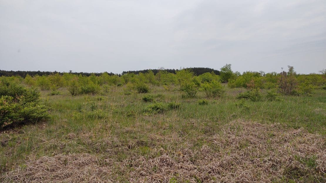 Michigan's Big Prairie Desert – The Restless Viking