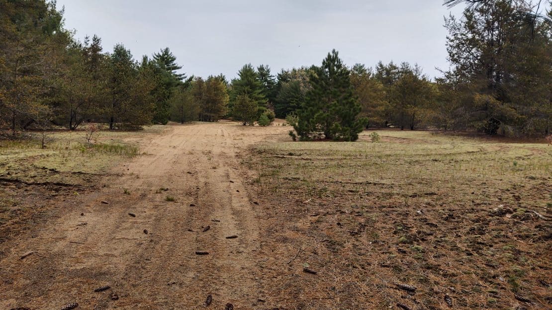 Michigan's Big Prairie Desert – The Restless Viking