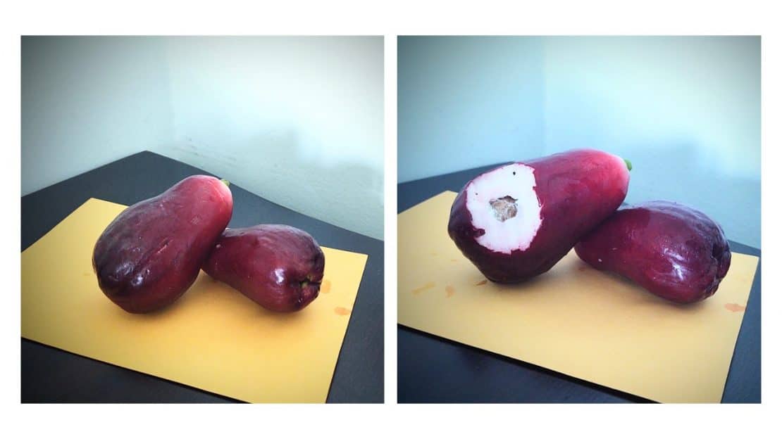 Ocho Rios Tour - Jamaica – The Restless Viking