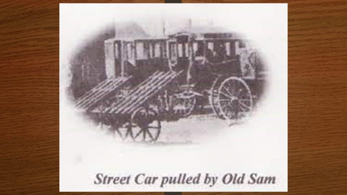 A Civil War Horse -Old Sam - Honored – The Restless Viking