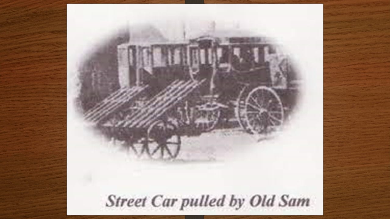 A Civil War Horse -Old Sam - Honored – The Restless Viking