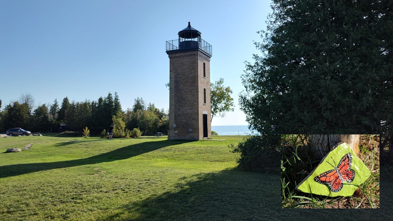 Monarch Migration - Peninsula Point – The Restless Viking