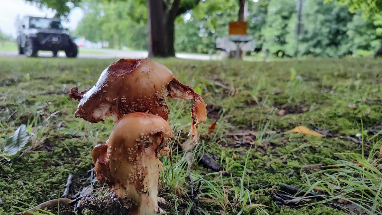 The First Roadside Table – The Restless Viking