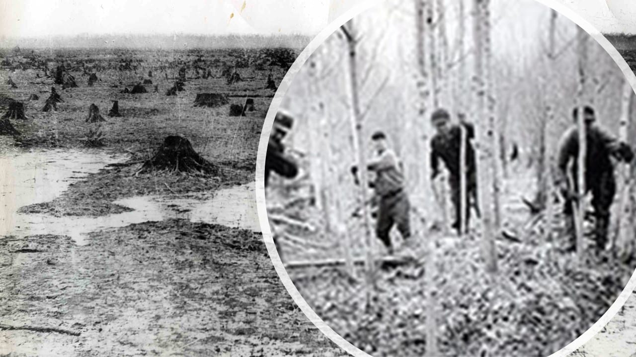 Taming The Great Black Swamp – The Restless Viking