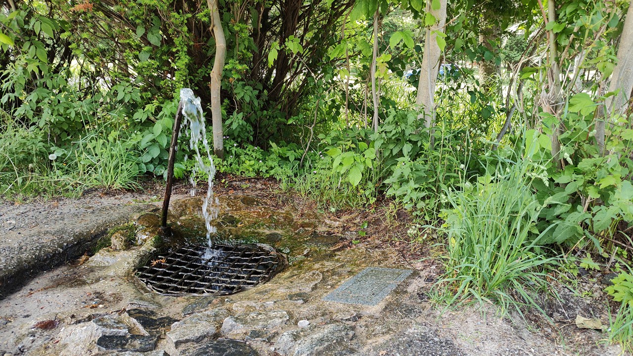 "Old Facefull" - The Oldest Spring in Michigan – The Restless Viking